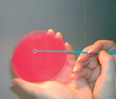 Inoculación - EcuRed