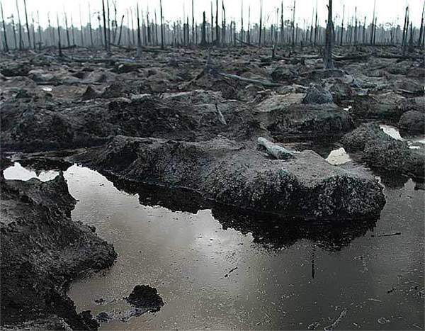 Deterioro del Medio Ambiente - EcuRed