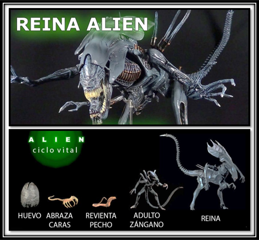 Reina Alien - EcuRed