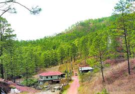 Cerro Uyuca (Honduras) - EcuRed