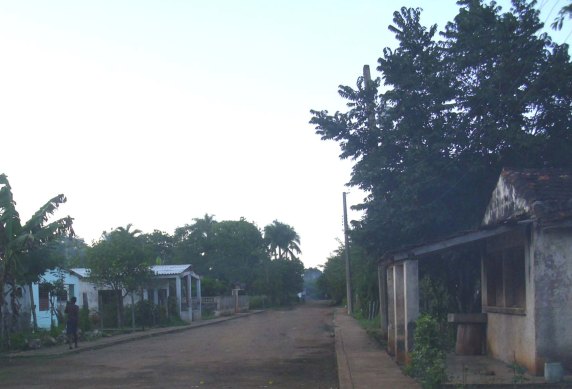 Altamisal (Perico) - EcuRed