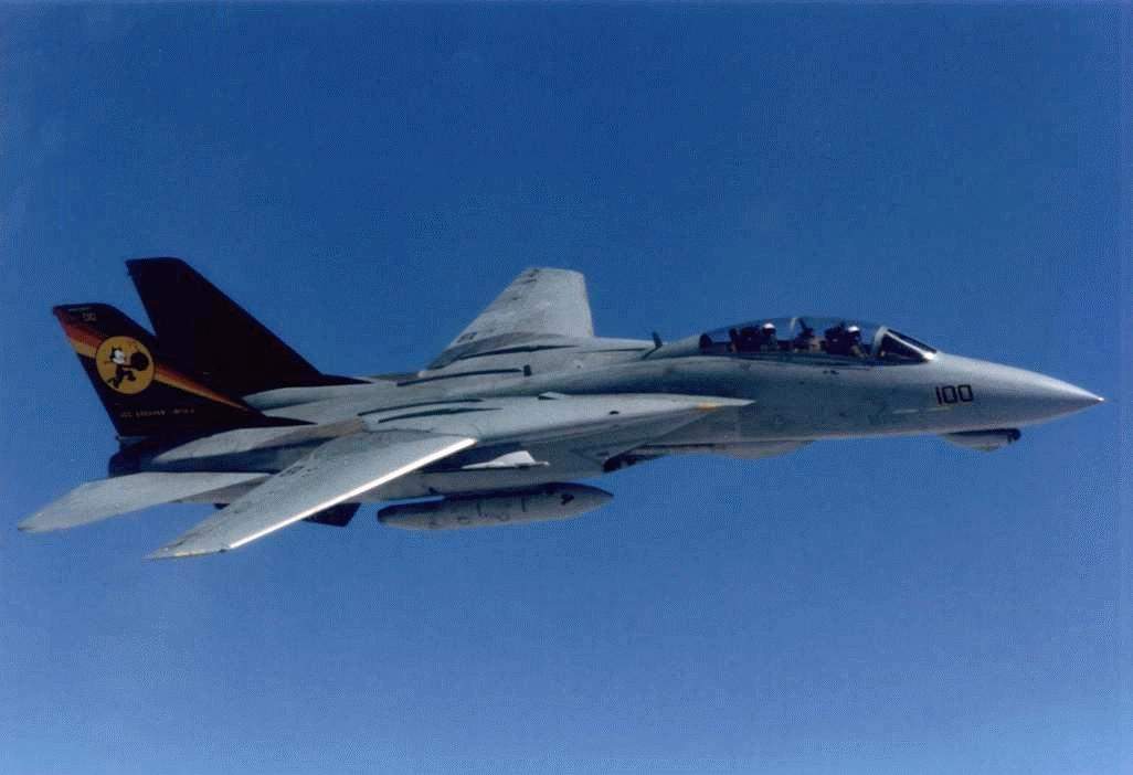 Grumman F-14 Tomcat - EcuRed