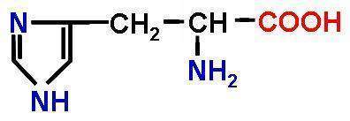Histidina - EcuRed