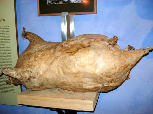 Odre (recipiente) - EcuRed