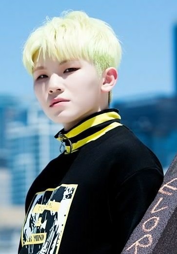 Woozi - EcuRed