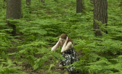 Dendrofobia - EcuRed