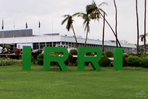 Instituto Internacional de Investigación del Arroz - EcuRed