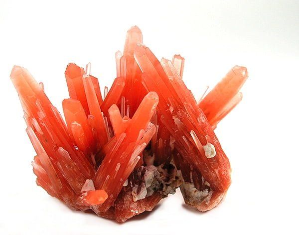 Jacinto Piedra Preciosa