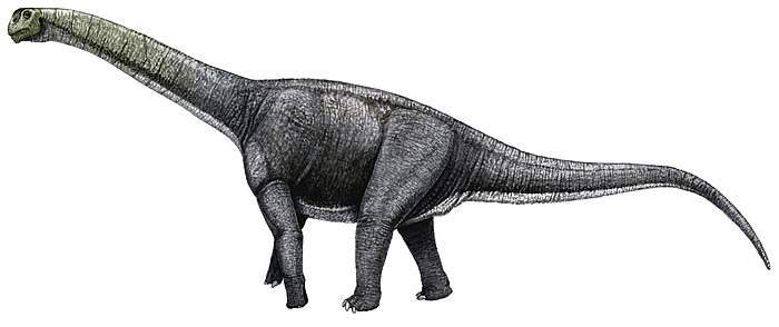 Aragosaurus - EcuRed