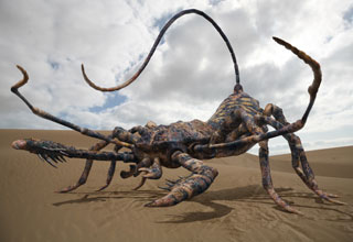 Escorpión látigo - EcuRed