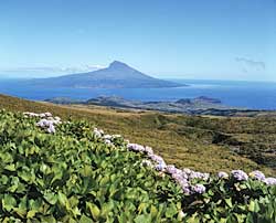 Isla Faial - EcuRed