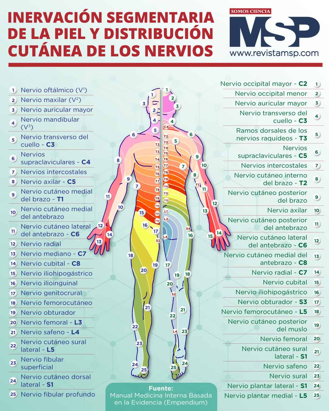 Inervación sensitiva - EcuRed