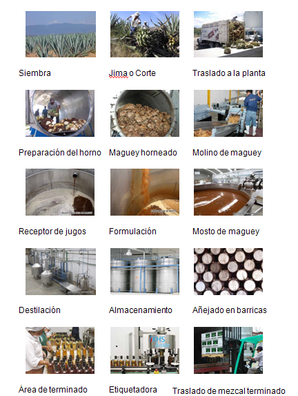 Mezcal - EcuRed