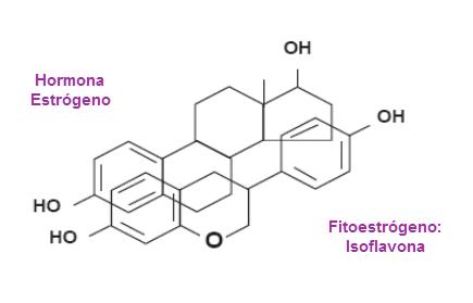 Fitoestrógenos - EcuRed