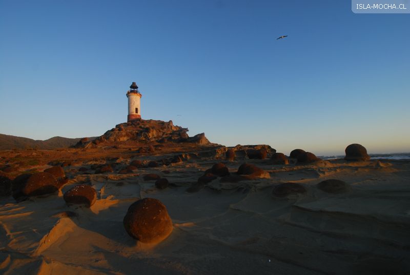 Isla Mocha (Chile) - EcuRed