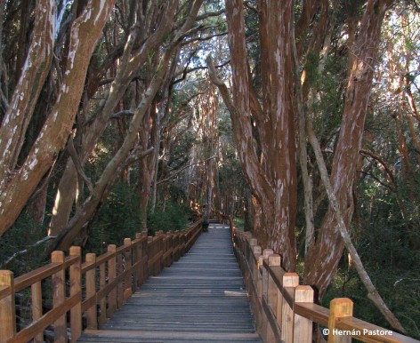 Parque Nacional Los Arrayanes - EcuRed