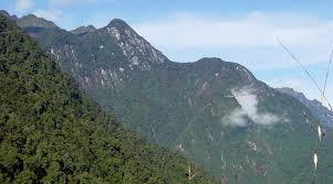 Parque Nacional Natural Tatamá - EcuRed