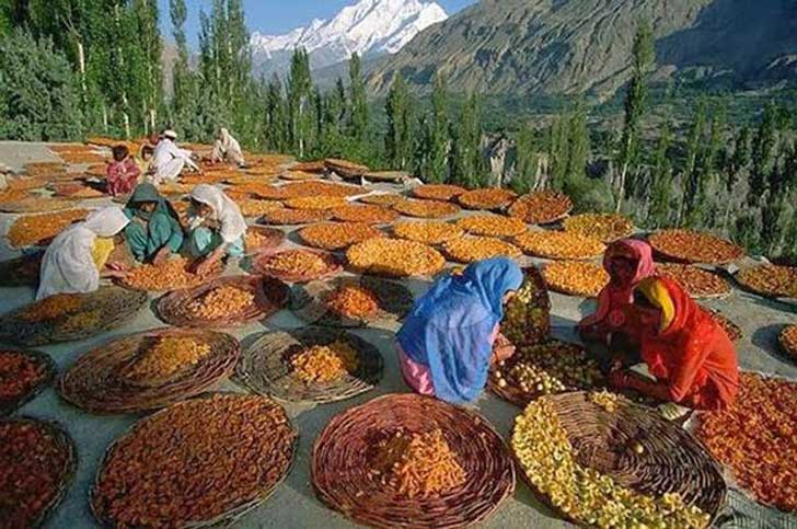 Hunza - EcuRed