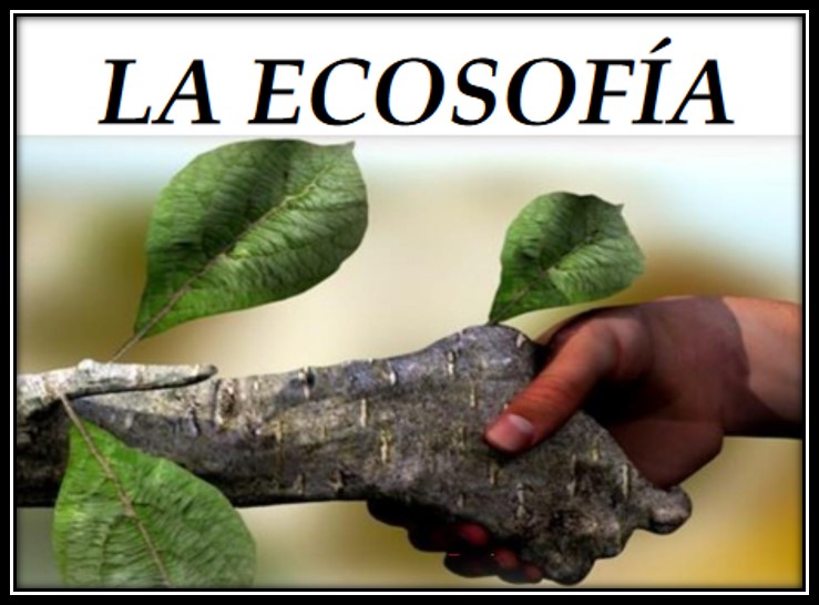 Ecosofía - EcuRed
