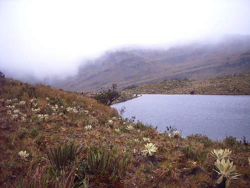 Macizo Colombiano - EcuRed