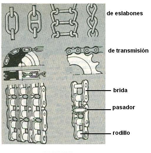 Cadena - EcuRed