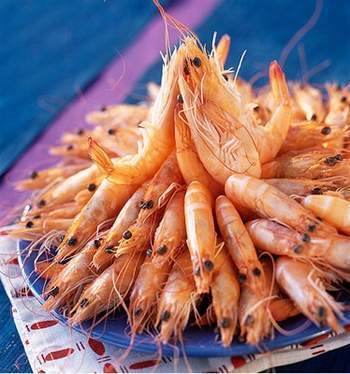 Mariscos - EcuRed