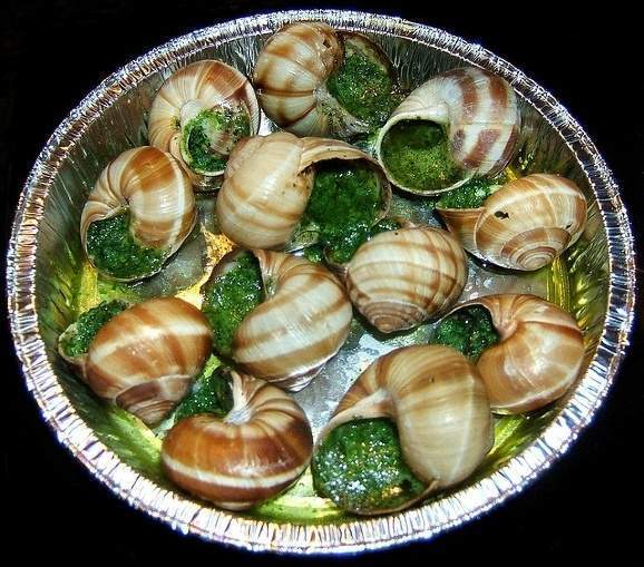 Escargot - EcuRed