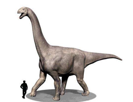 Turiasaurus - EcuRed