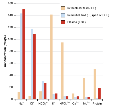 Archivo:Concentracionelementosen fluidos.png - EcuRed