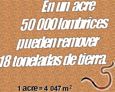 Acre (unidad de superficie) - EcuRed