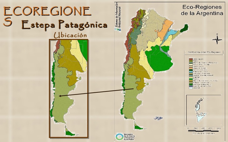 Ecorregión terrestre de la Estepa Patagónica - EcuRed
