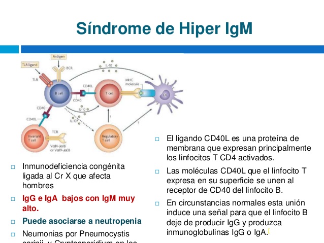 Inmunodeficiencia con hiper-IgM - EcuRed
