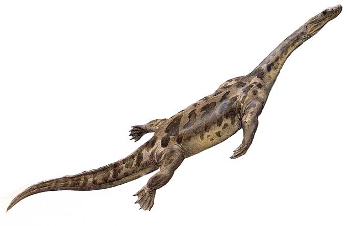 Nothosaurus - EcuRed