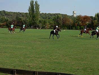 Polo (deporte) - EcuRed