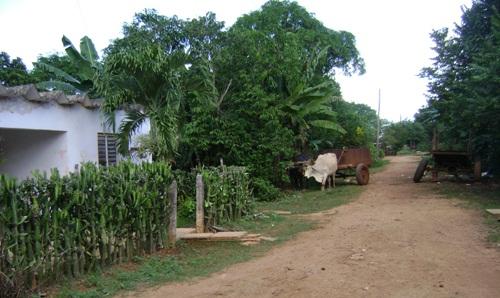 La Chucha (Perico) - EcuRed