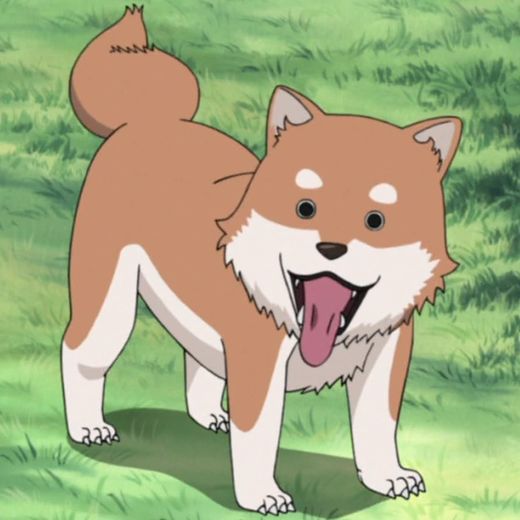 Shiro (Naruto) - EcuRed
