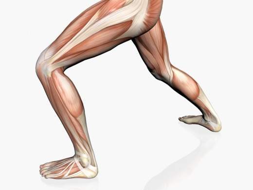 Lesiones musculares - EcuRed
