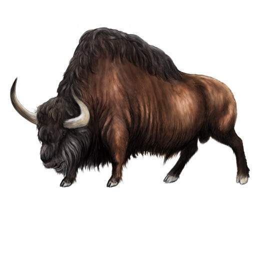 Bison priscus - EcuRed