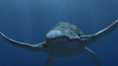 Pliosaurus - EcuRed