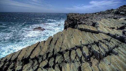 Mistaken Point - EcuRed