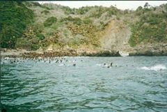 Comuna Fresia - EcuRed