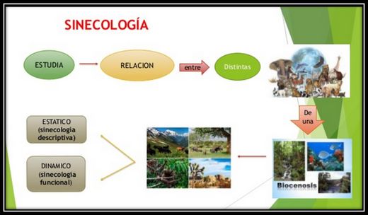 Sinecología - EcuRed