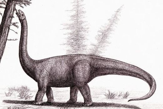 Austrosaurus - EcuRed