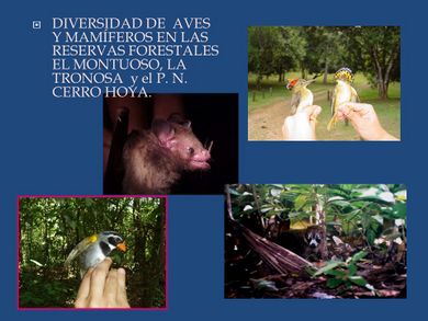 Reserva Forestal La Tronosa - EcuRed
