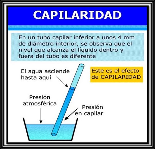 Capilaridad - EcuRed