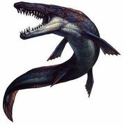 Hainosaurus - EcuRed