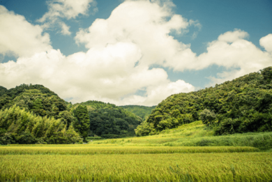 Satoyama - EcuRed