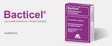 Bacticel - EcuRed