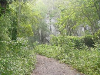 Laguna Vieja (Guane) - EcuRed