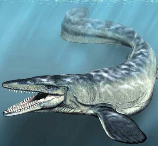 Mosasaurus - EcuRed